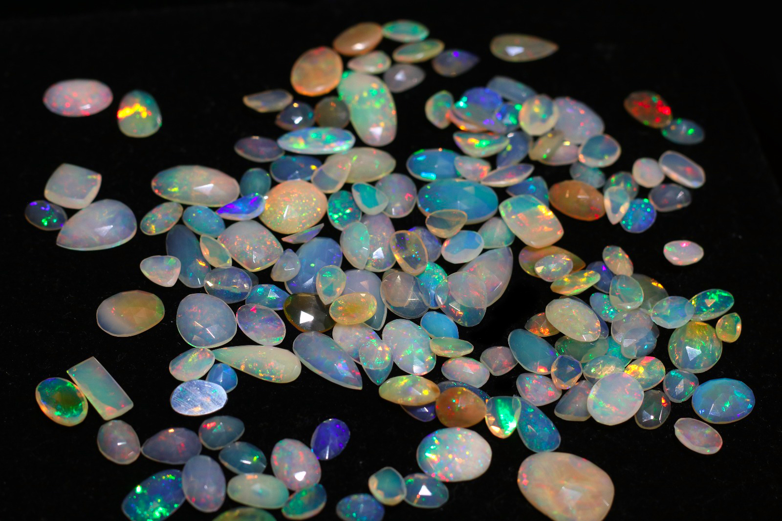 Photo Gallery | Bead & Design Shows